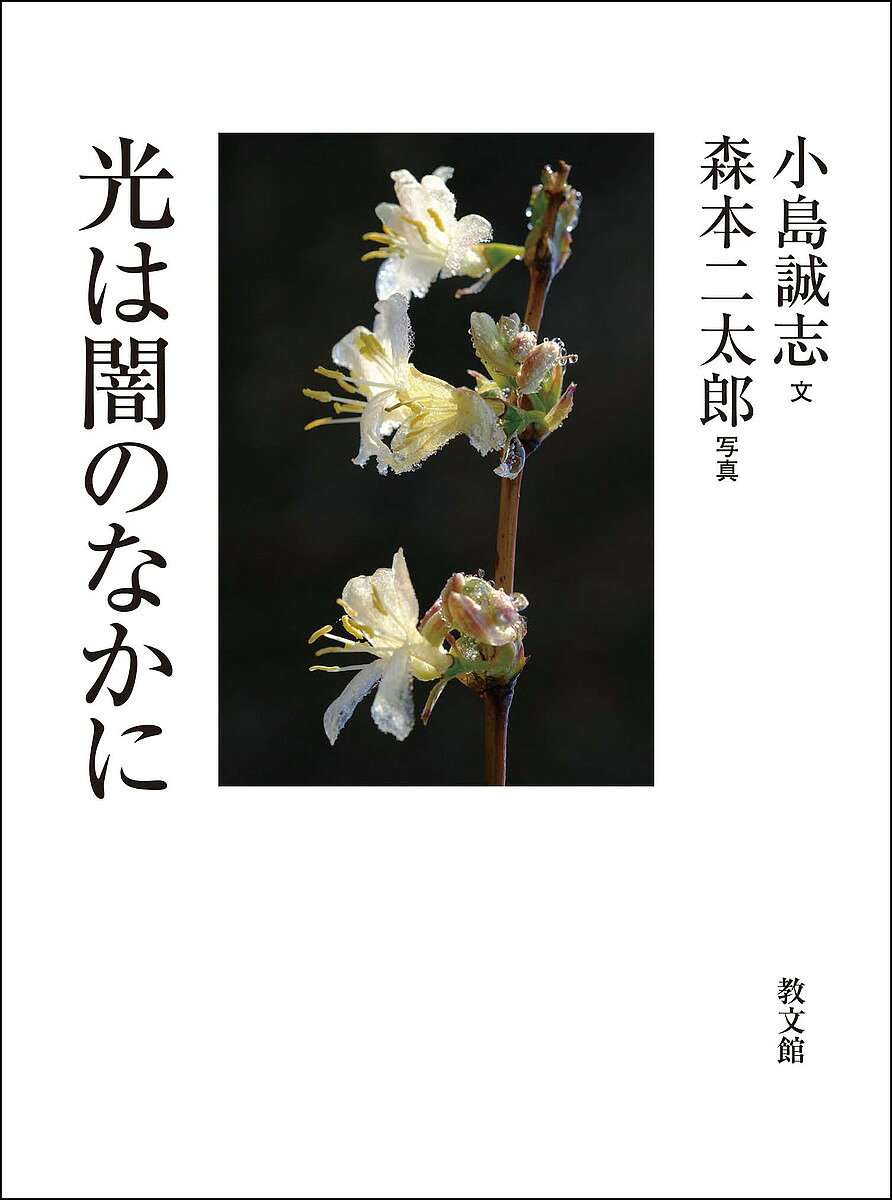 著者小島誠志(文) 森本二太郎(写真)出版社教文館発売日2022年03月ISBN9784764261631ページ数62Pキーワードひかりわやみのなかに ヒカリワヤミノナカニ おじま せいし もりもと にた オジマ セイシ モリモト ニタ97...