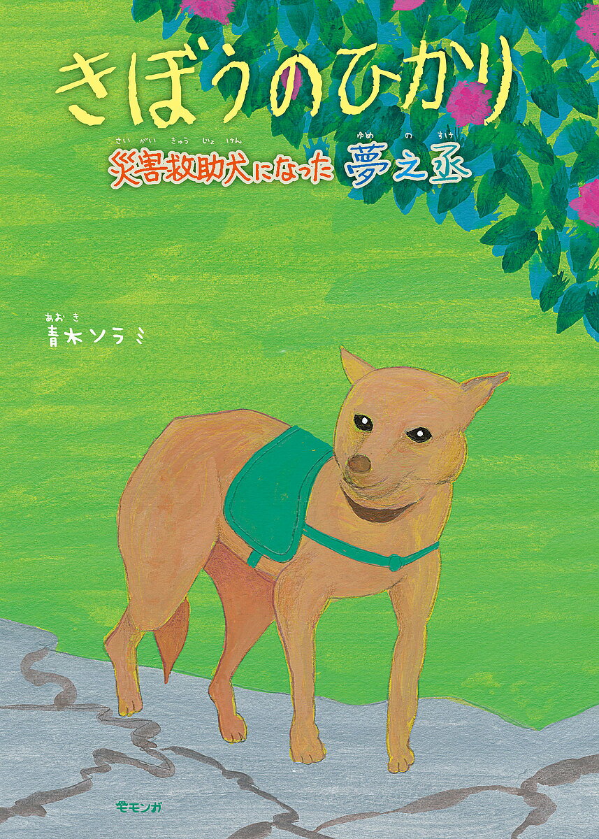 著者青木ソラミ(著)出版社みらいパブリッシング発売日2023年05月ISBN9784434320804ページ数1冊（ページ付なし）キーワードえほん 絵本 プレゼント ギフト 誕生日 子供 クリスマス 子ども こども きぼうのひかりさいがいき...