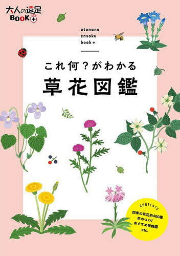 出版社JTBパブリッシング発売日2023年06月ISBN9784533154645ページ数192Pキーワードこれなにがわかるくさばなずかんおとな コレナニガワカルクサバナズカンオトナ9784533154645内容紹介【ふとした日常で草花探し...
