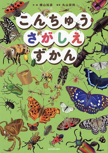 ※商品画像はイメージや仮デザインが含まれている場合があります。帯の有無など実際と異なる場合があります。著者横山拓彦(作・絵) 丸山宗利(監修)出版社KADOKAWA発売日2024年07月ISBN9784041149256ページ数31Pキーワ...