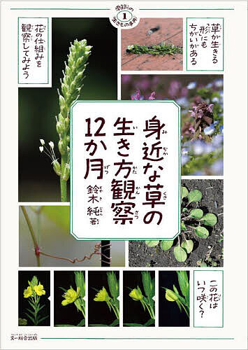 著者鈴木純(著)出版社文一総合出版発売日2025年03月ISBN9784829990230ページ数67Pキーワードプレゼント ギフト 誕生日 子供 クリスマス 子ども こども みじかなくさのいきかたかんさつじゆうにかげつ ミジカナクサノイキ...