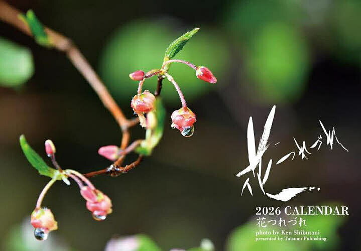 ※商品画像はイメージや仮デザインが含まれている場合があります。帯の有無など実際と異なる場合があります。出版社辰巳出版発売日2026年01月ISBN9784777832705キーワード2026かれんだーはなつれづれ 2026カレンダーハナツレ...