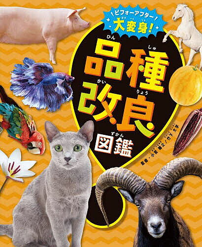 ※商品画像はイメージや仮デザインが含まれている場合があります。帯の有無など実際と異なる場合があります。著者小宮輝之(監修) 竹下大学(監修)出版社文研出版発売日2025年01月ISBN9784580888111ページ数151Pキーワードプレ...