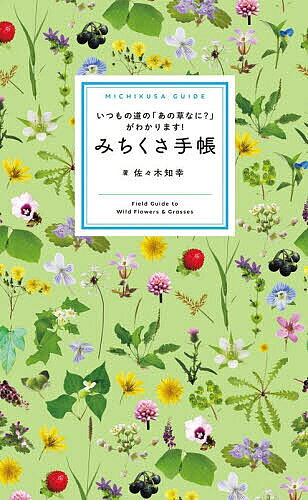 ※商品画像はイメージや仮デザインが含まれている場合があります。帯の有無など実際と異なる場合があります。著者佐々木知幸(著)出版社文一総合出版発売日2026年04月ISBN9784829972649ページ数279Pキーワードみちくさてちようい...