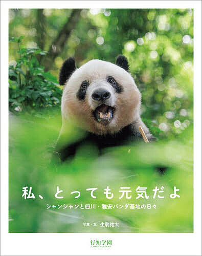 ※商品画像はイメージや仮デザインが含まれている場合があります。帯の有無など実際と異なる場合があります。著者生駒祐太(写真)出版社行知学園発売日2026年04月ISBN9784909025098ページ数78Pキーワードわたくしとつてもげんきだ...