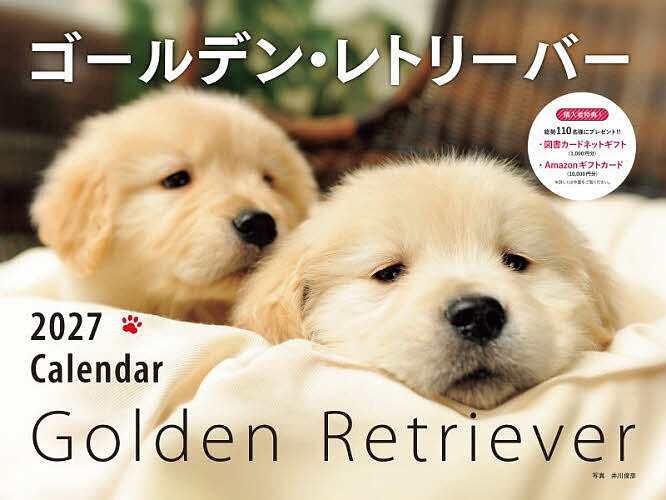 ※商品画像はイメージや仮デザインが含まれている場合があります。帯の有無など実際と異なる場合があります。出版社誠文堂新光社発売日2026年09月ISBN9784416926857キーワード2027かれんだーわいどばんごーるでんれとりーばー 2...