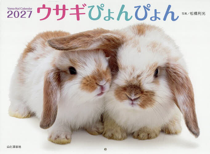 ※商品画像はイメージや仮デザインが含まれている場合があります。帯の有無など実際と異なる場合があります。出版社山と溪谷社発売日2026年09月ISBN9784635863469キーワードかれんだー2027うさぎぴよんぴよんやまけいかれん カレ...