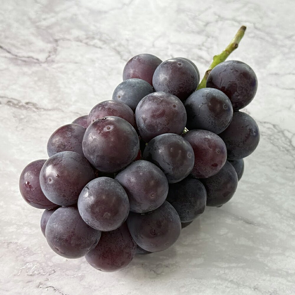 ◆ 太陽の恵みをたっぷり浴びて育った、みずみずしい旬の葡萄。 ひと粒ひと粒がふっくらと大きく、口に入れた瞬間に弾ける果汁と、上品でコクのある甘みが広がります。皮ごと食べられる品種は手軽で、お子さまからご年配の方まで安心してお楽しみいただけま...