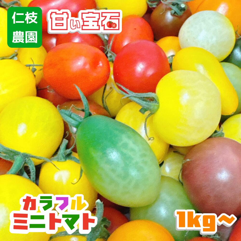 商品情報商品名カラーミニトマト原材料名ミニトマト（約20種）産地(最終加工地)愛知県 仁枝農園内容量1kg、2kg、kg賞味期限お早めにお召し上がりください。返品・キャンセル本商品は生鮮食品および産地直送品の取り扱いのため、原則としてお客様...