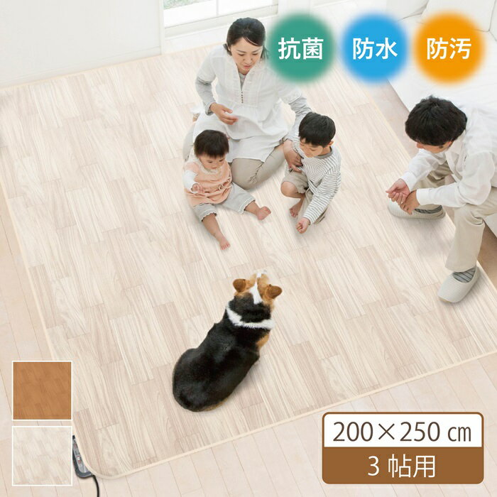 ■お手入れ簡単　表面防水 ■抗菌加工 ■ホットカーペット・床暖房対応 ■拭き取りやすく、ペットやお子様がいるご家庭ご家庭にオススメです ■ホットカーペットカバーとしても使えます サイズ（3帖用）：200×250cm 材質 表面：塩化ビニル樹...