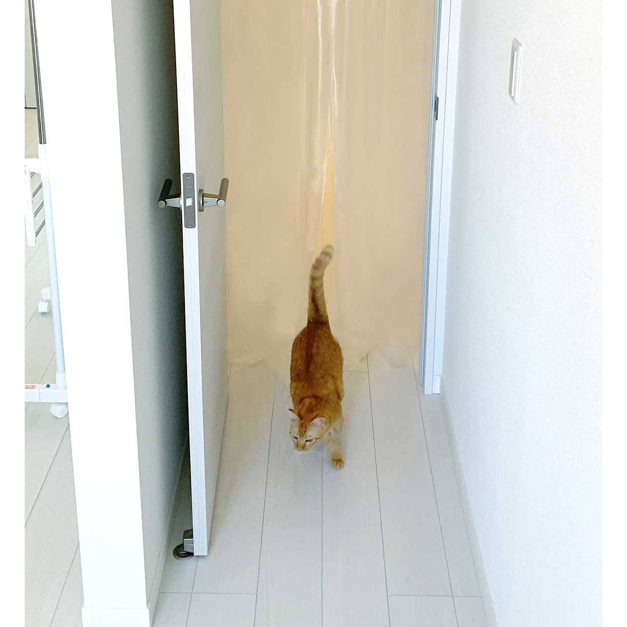 わんちゃん、ねこちゃん出入り自由 ドアを開けたままで冷気、暖気を逃がさない間仕切り 市販のテンションポール（40mm径）や、のれん棒を使って取り付けるのれんタイプの間仕切りです。 お部屋の間仕切りだけでなく、台所や洗面所・脱衣所などの間仕切...