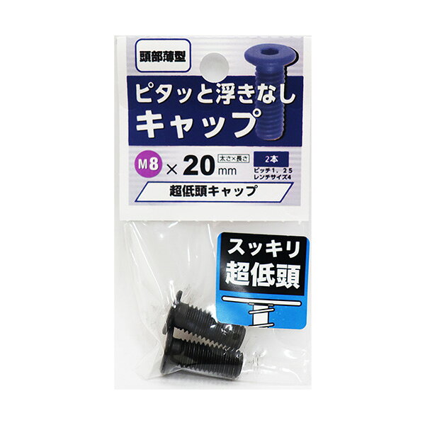 ■頭部の高さが薄型な為、締付け後、頭部が目立ちにくく、スッキリとした仕上がりになります。 ●サイズ：太さM8×長さ20mm ●ピッチ：1.25 ●入数：2本 ●材質：鉄
