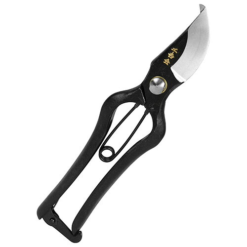 丈夫で頑丈な鍛造製品です。生木の剪定、整枝作業太い枝の剪定作業も楽に行えます。ネジ式で刃が外せますので、楽に刃研ぎが出来ます。サイズ：幅50×高さ250×奥行21mm重量：220g全長：約200mm生木切断目安：15mmネジ・ボルト式本鍛造...