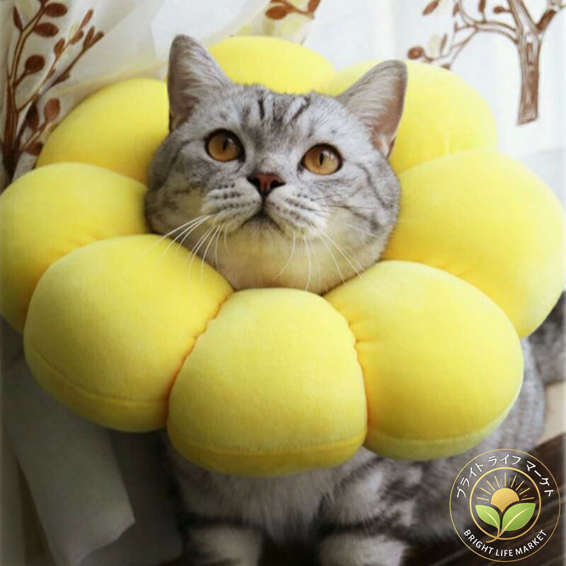 商品名:エリザベスカラーサイズ:XS(首周り14-18cmおすすめ)S(首周り18-25cmおすすめ)M(首周り24-34cmおすすめ)素材:ポリエステル生産国:中国手動測定サイズなので、多少の誤差がございますので、ご了承ください。傷舐め防...