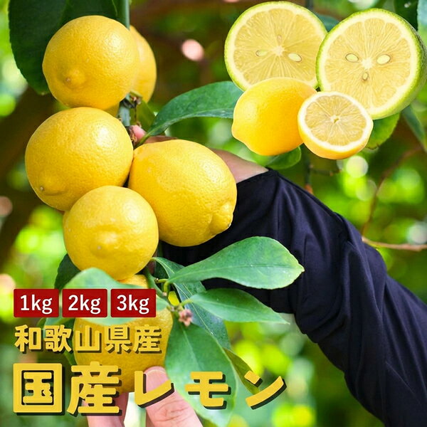 商品説明 和歌山県産のレモン。 愛情を込めて大切に育てたレモンをお届けします。 当店のレモンは春と冬に殺菌剤を使用しております。 レモン収穫後にワックス・防腐剤・防カビ剤は使用しておりません。 &nbsp;品種 リスボン、マイヤー、璃の香等...