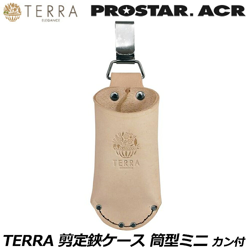 商品情報 メーカー プロスター品番 TR-08仕様・スペック 【サイズ(mm)】高さ165X幅65【材質】ヌメ革●家庭菜園やガーデニングなどでの使用時、剪定鋏の収納に便利な工具差しです。●形状は筒形をしているので作業中に剪定ばさみを安全に持...
