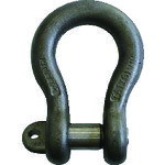 TAIYO　JISシャックル　M級　黒　BC−14（1012468）JAN：4582165292002メーカー：大洋製器工業（株） / ブランド：TAIYO / 原産国：日本特長●JIS規格シャックルです。●サイズが豊富でいろいろな用途でご...