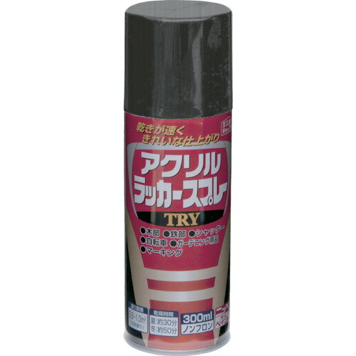 ニッぺ　アクリルラッカースプレーTRY　300ml　ブラック　222T003−300 JAN：4976124253621 メーカー：ニッペホームプロダクツ（株） / ブランド：ニッぺ / 原産国：日本 特長●高光沢で乾燥が早く、乾くと日光や...