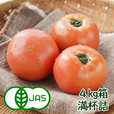 商品説明 名称 有機アロイトマト 栽培方法 JAS認定　有機栽培 産地 国産　※詳しい産地はページ上部に記載 内容量 4kg箱満杯詰め（4kg前後） 発送時期 月曜日AMまでのご注文&rarr;当週の木曜日以降の出荷 木曜日AMまでのご注文...