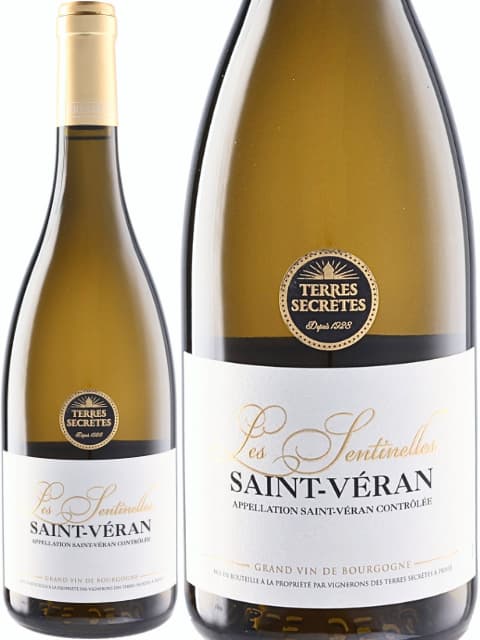 【商品名】テール セクレット サン ヴェラン レ センティネル Terres Secretes Saint Veran Les Sentinelles タイプ白ワイン生産地フランス / ブルゴーニュ生産者ヴィニュロン・デ・テール・セクレット...