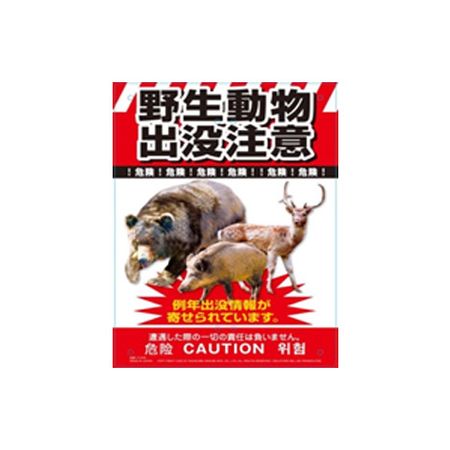 【商品説明】■超軽量・超柔軟で取付簡単！！■色鮮やかで高い訴求力抜群！■取付方いろいろ！■ヒモで、ガンタッカーやホチキスで、結束バンドで、画鋲で、磁石で。■長時間使用しても、柔軟性が持続し、安全です。（万が一、看板自体が飛んで行っても、凶器...
