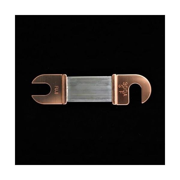 ●2本価格●電流…300A●取付ピッチ…75mm●定格電圧…250V●可溶片鉛合金●低圧電路の過電流保護用　