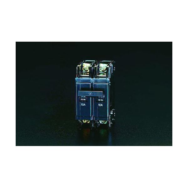 エスコメーカーお問い合わせ：06-6532-6226●定格電流…10A●2極●定格遮断容量…5kA(110/220V AC)　2.5kA(460V AC)●定格絶縁電圧…AC500/DC125V●サイズ…50×95×77.5mm