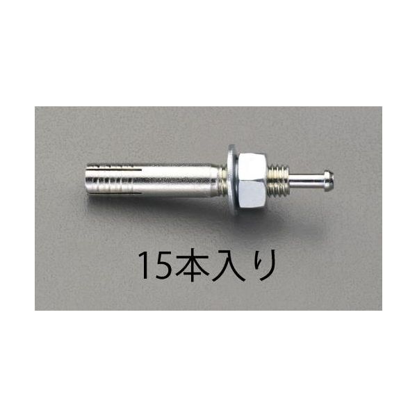 エスコメーカーお問い合わせ：06-6532-6226●ねじサイズ…M16●全長…100mm●下穴径…φ17.0mm●材質…電気亜鉛メッキ●芯棒打ち込み式●入数…15本