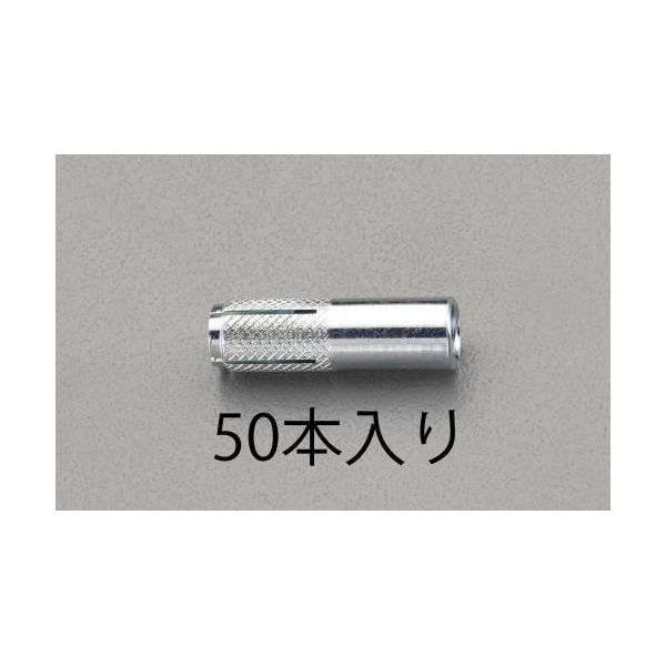 ●ねじサイズ…M10●全長…40mm●下穴径…φ12.5mm●材質…電気亜鉛メッキ●内部コーン打ち込み式●入数…50本