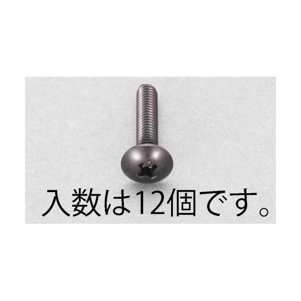 ●材質…ステンレス(SUS XM-7)(SSブラックメッキ)●並目ねじ●全ねじ●(＋)トラス頭●サイズ…M4×20●ピッチ…0.7●入数…12