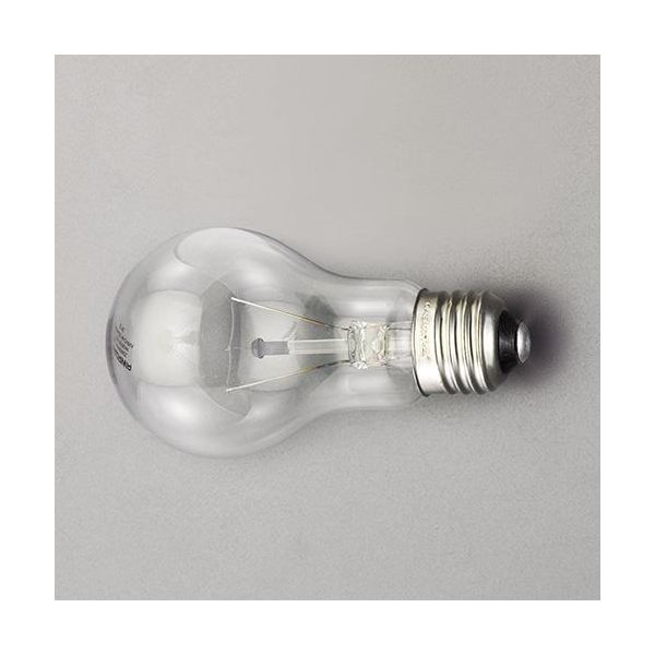 エスコメーカーお問い合わせ：06-6532-6226●口金…E26●電圧…100V●定格寿命…2，000時間●光色…電球色●種別…60形●消費電力…60W●全光束…810lm