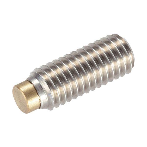 【商品説明】【特長】●黄銅ピン付プレッシャー・スクリューです。【用途】●スピンドルや、軸、表面処理済みの部品などを傷つけずに押さえたり、締め付けるために。【仕様】●外径d1(mm)：M8●外径d2(mm)：5.5●長さl1(mm)：32●長...