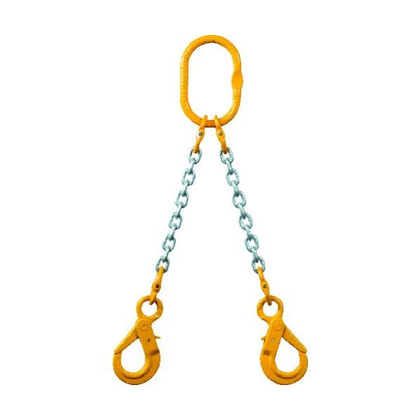 象印チェンブロックメーカーお問い合わせ：0120-984-204【商品説明】【特長】●ロッキングフック付です。●「プラスV級」ロードチェーンの採用でより安全になりました。（安全率5倍以上）●過酷な使用条件にも強い特殊表面処理チェーンの採用で...