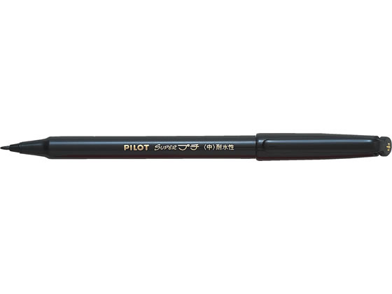 【仕様】●軸、キャップ：リサイクル樹脂●全長：144mm●インキ：水性顔料（耐水性）●キャップ式●中字0．6mm●注文単位：1本●グリーン購入法適合●GPNエコ商品ねっと掲載【検索用キーワード】水性ペン　黒　くろ　パイロット　PILOT　S...