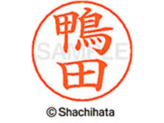 【商品説明】ネームペンのネーム印を交換したい場合にご使用ください。【仕様】●カモダ●印面サイズ：直径9mm●書体：楷書体●インキ色：朱色●カートリッジ式●対応補充インキ：XLR−GP●透明プラケース入り●GPNエコ商品ねっと掲載【備考】※メ...