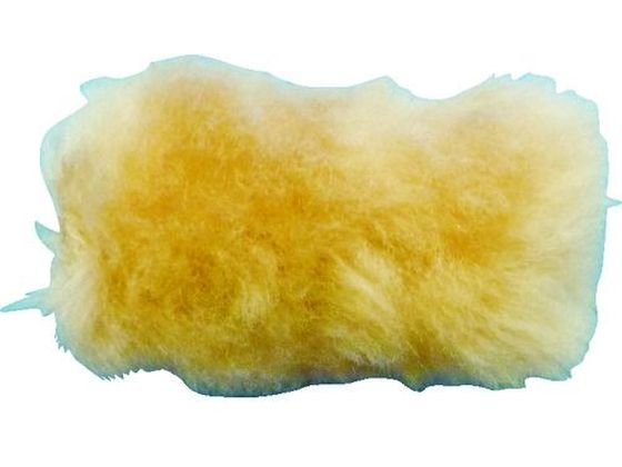【商品説明】●塗料の含み、吐き出しがよく万能タイプです。【仕様】●型番：TSPR-13-2●寸法（インチ）：2　●毛丈（mm）：13　●全長（mm）：55　●適応塗面：多用途　●適合ハンドル：TRF−2N、TRF−4N●適用塗料：水性◎、油...