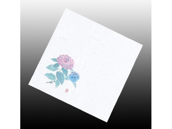 【商品説明】おいしさ安全、料理にやさしい表面にラミネート加工してありますので、絵柄の上に食品を直接のせて頂いても大丈夫です【仕様】●外寸：150×150mm●材質1：紙●材質2：ラミネート加工●100枚入り【備考】※メーカーの都合により、パ...