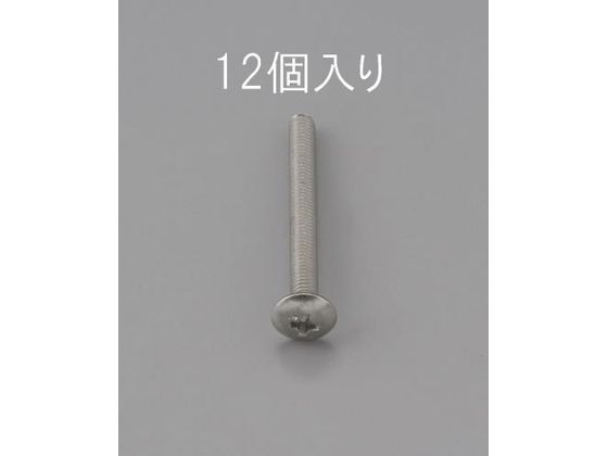 【仕様】●材質：ステンレス●並目ねじ●全ねじ●頭形状：（＋）トラス頭●サイズ：M4×12●ピッチ：0．7●入数：12個【備考】※メーカーの都合により、パッケージ・仕様等は予告なく変更になる場合がございます。【検索用キーワード】エスコ　ESC...