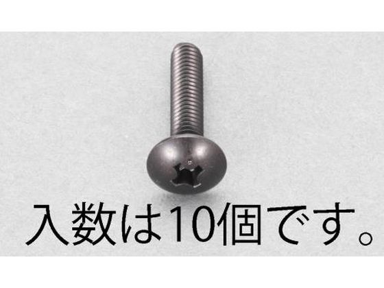 【仕様】●材質：ステンレス（SSブラックメッキ）●並目ねじ●全ねじ●（＋）トラス頭●サイズ：M4×25●ピッチ：0．7●入数：10【備考】※メーカーの都合により、パッケージ・仕様等は予告なく変更になる場合がございます。【検索用キーワード】エ...