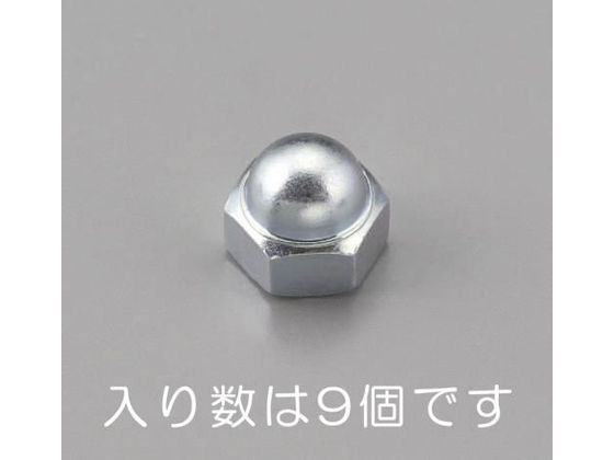 【仕様】●材質：鉄（三価クロメートメッキ）●サイズ：M3●ピッチ：0．5●入数：9個●並目ねじ【備考】※メーカーの都合により、パッケージ・仕様等は予告なく変更になる場合がございます。【検索用キーワード】エスコ　ESCO　えすこ　M3袋ナット...