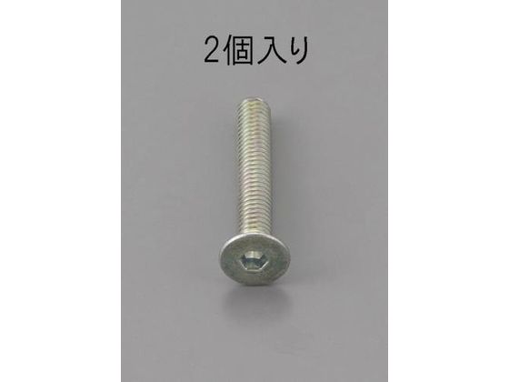 【仕様】●材質：鉄（三価クロメート）●並目ねじ●全ねじ●サイズ：M8×10●ピッチ：1．25●入数：2個【備考】※メーカーの都合により、パッケージ・仕様等は予告なく変更になる場合がございます。【検索用キーワード】エスコ　ESCO　えすこ　M...