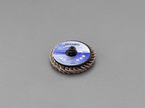 【仕様】●直径：50mm●粒度：＃40●最大回転数：30000rpm●EA819KG−14で使用して下さい。【備考】※メーカーの都合により、パッケージ・仕様等は予告なく変更になる場合がございます。【検索用キーワード】エスコ　ESCO　えすこ...