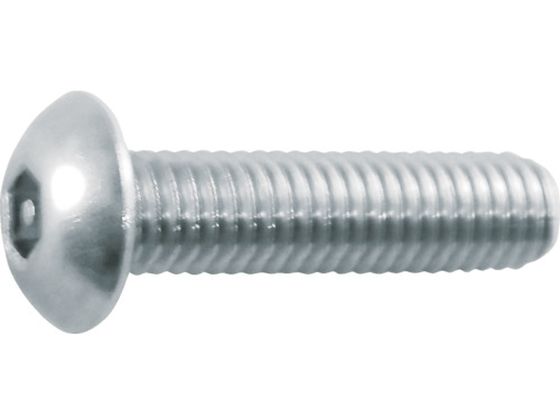 【仕様】●型番：B103-0510●入数：11本●寸法（mm）d：M5 ●寸法（mm）L：10●強度区分：A2−50相当●ステンレス（A2）【備考】※メーカーの都合により、パッケージ・仕様等は予告なく変更になる場合がございます。【検索用キー...