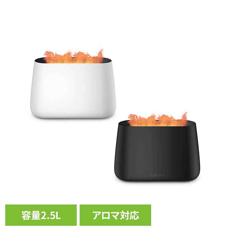 暖かい焚き火を連想させるアロマ加湿器加湿、香り、LED ライトの癒しの演出 3 in 1 の機能が搭載されている超音波式アロマ加湿器。タンク容量は2.5Lと大容量。加湿をしっかりと行いながら香り、LED ライトとミストで神秘的な演出をしてく...