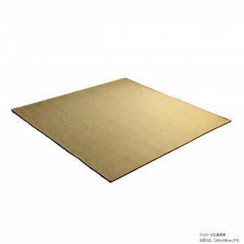 毛足が短いためゴミが絡まりにくく、掃除機もスムーズにかけられます。裏面はフローリングを傷つけにくい不織布貼り。滑り止め加工を施しています。電気カーペット、床暖房対応。ご家庭の洗濯機で丸洗いできるためお手入れも簡単です。軽量でコンパクトにたた...