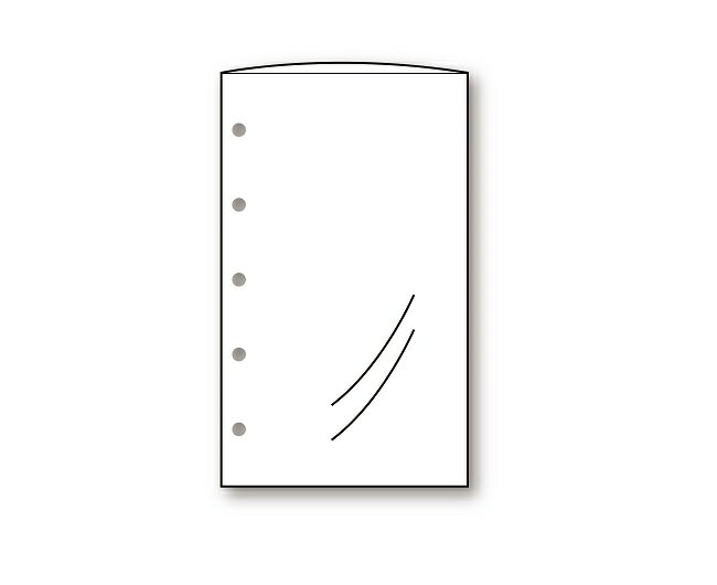 メール便(ポスト投函)は12個まで ※ご希望の方は配送方法でご設定下さい。 ●リフィルサイズ ：W64×H106mm ●入数：5枚 ●素材：PP製 ●特長：大切な情報や使用頻度の高いリフィルの汚れ破損を防ぎます。●レイメイ藤井システム手帳用...