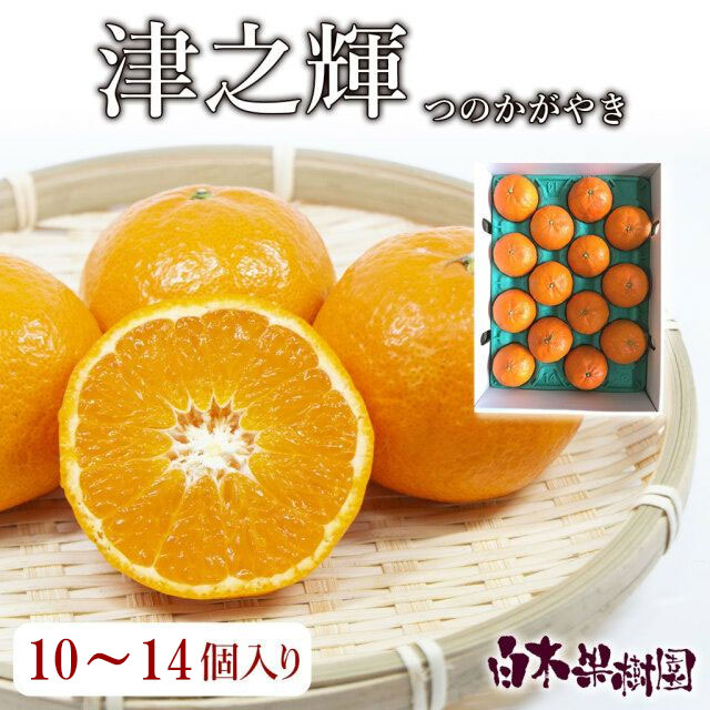 ・発送期間：1月中旬から2月中旬頃 ・津之輝（つのかがやき）　Lサイズ～3Lサイズ　10～14個入り 津之輝は、清見に興津早生みかんを掛け合わせた品種に、 アンコールを交配してコクと風味を備えた、 それぞれの柑橘の良いところどりをした品種で...
