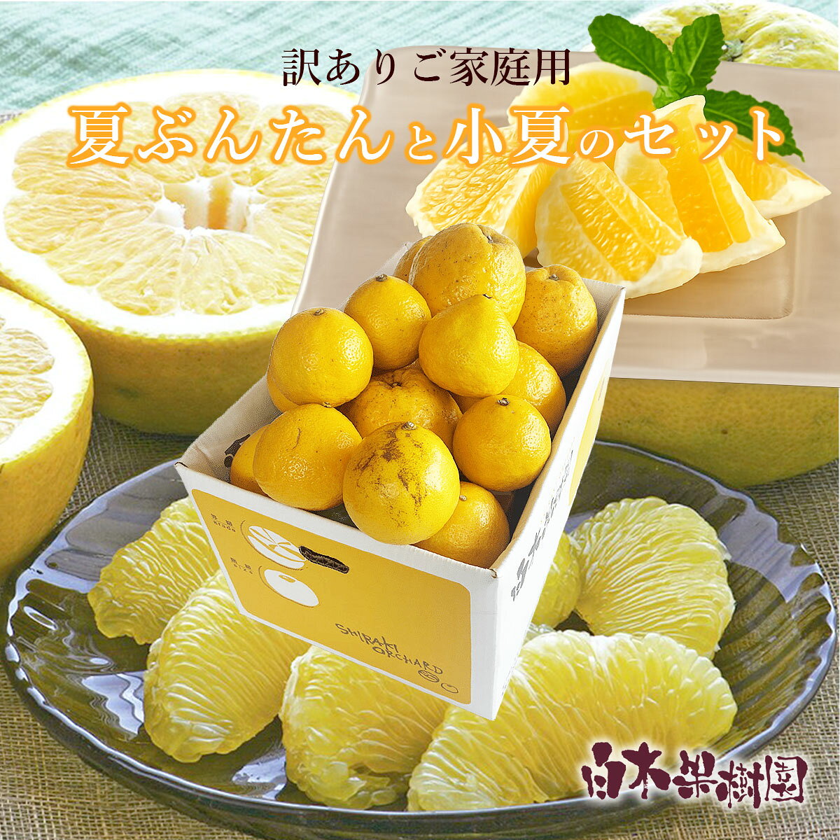 【内容】 小夏 約2.5kg、夏ぶんたん 約2.5kg 発送期間：7月下旬～8月上旬 &nbsp; 果汁あふれる夏ぶんたんと、爽やかな香りとやさしい甘酸っぱさが魅力の小夏を詰め合わせた、ご家庭用のお得なセットです。 旬の柑橘が少なくなる季節...