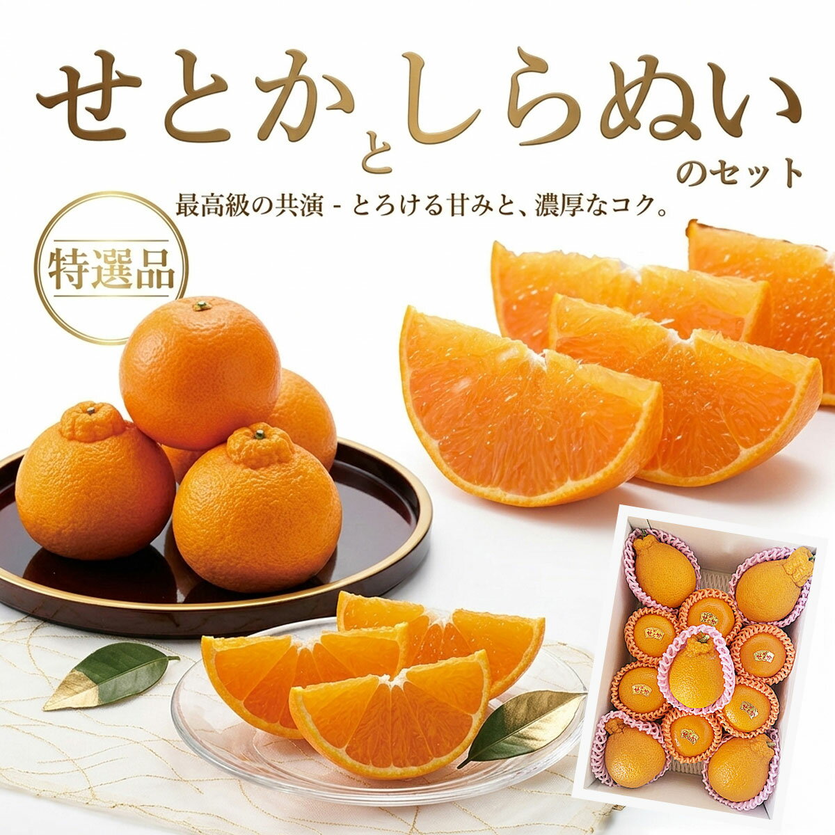 【発送時期：2月中旬頃～】 とろける甘さの「せとか」と、コクのある味わいの「不知火　しらぬい」（デコポンと同品種）を詰め合わせました。 味の違いを楽しみながらお召し上がりいただける、柑橘好きにはたまらない組み合わせです。 甘さの王様「せとか...