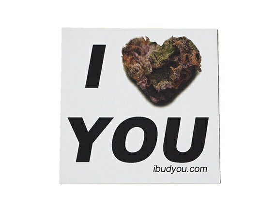 商品情報 カラー（色について） モニター発色の具合により色合いが異なる場合がございます素材 上質紙製（光沢あり）I BUD YOU ステッカー（I BUD YOU） I BUD YOU ステッカー（I BUD YOU）カリフォルニアからイカ...